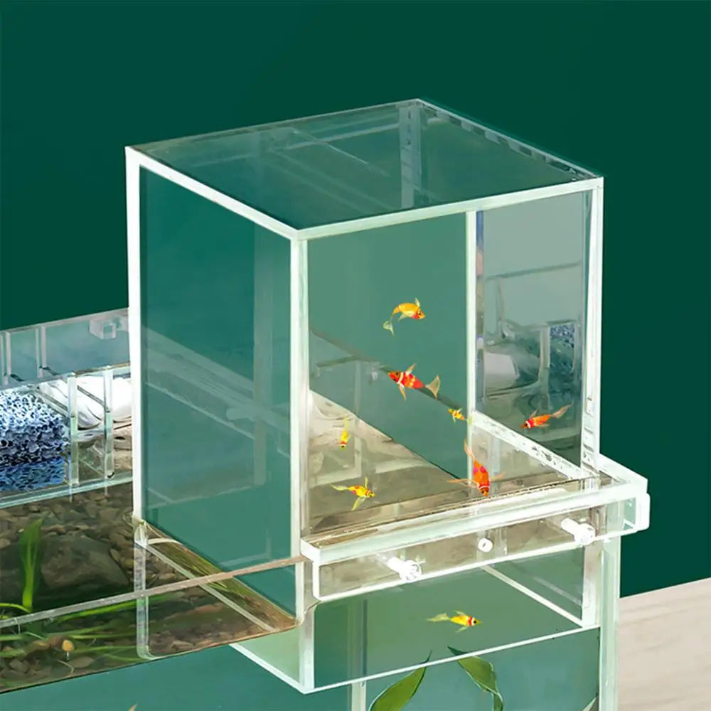 Fish Elevator - Negative Pressure Tank – Cherry Shrimp Canada